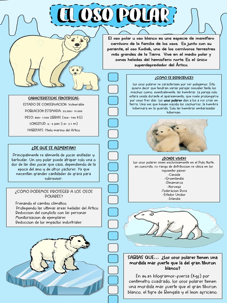 El Oso Polar | PDF | Oso polar | Osos