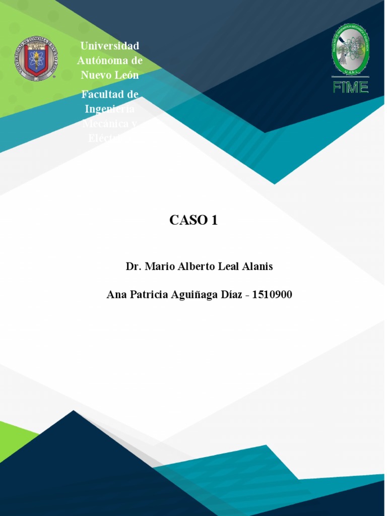 Caso 1 Ford | PDF