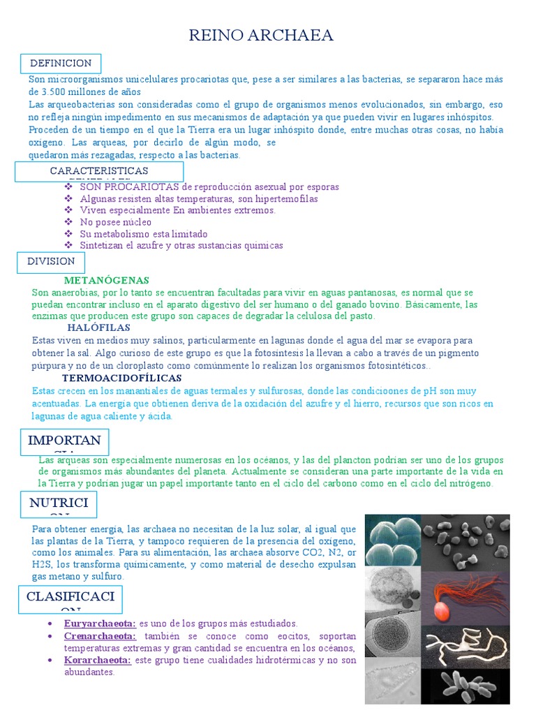 Características del Reino Archaea | PDF | Archaea | Naturaleza
