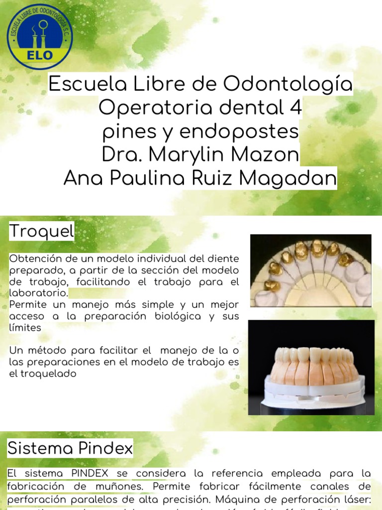 Sistema Pindex en Odontología Dental | PDF | Arte | Tecnología