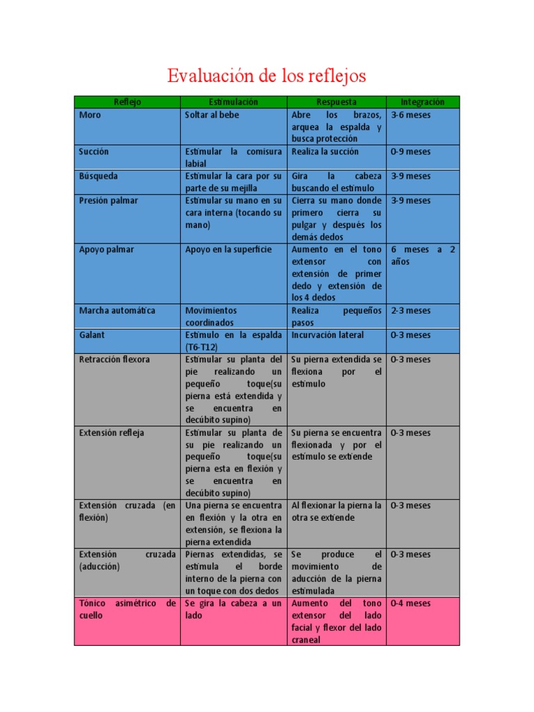 Evaluación de Los Reflejos | PDF | Mano