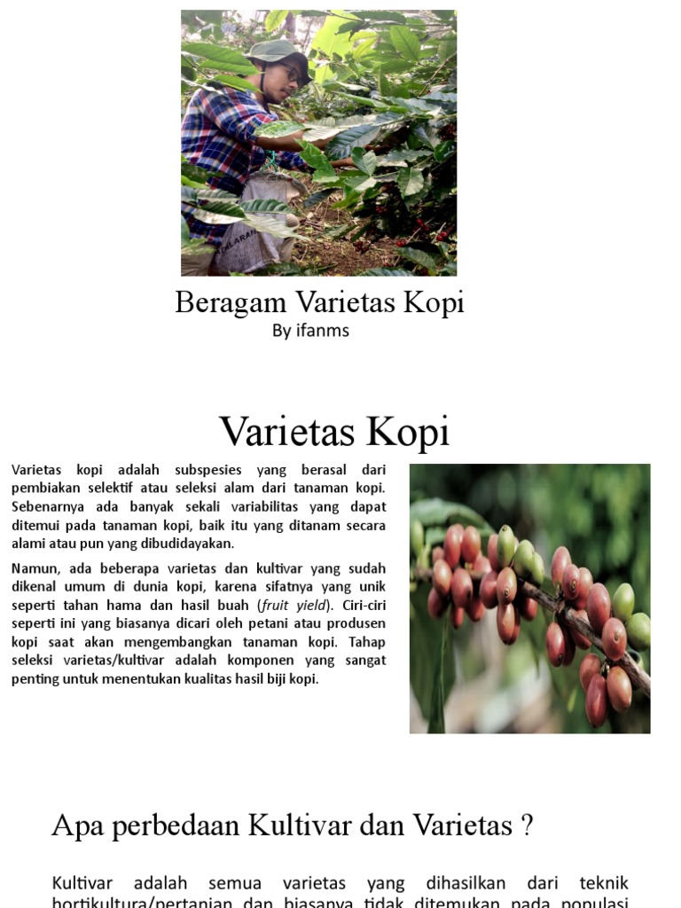 03.varietas Kopi | PDF