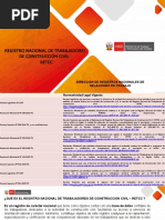 Manual Del Sistema de Registro Nacional de Trabajadores de Construcción ...