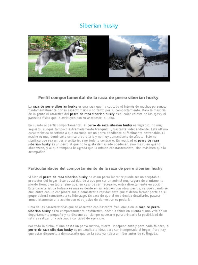 Siberian Husky | PDF | Perros | Subespecie De Canis Lupus