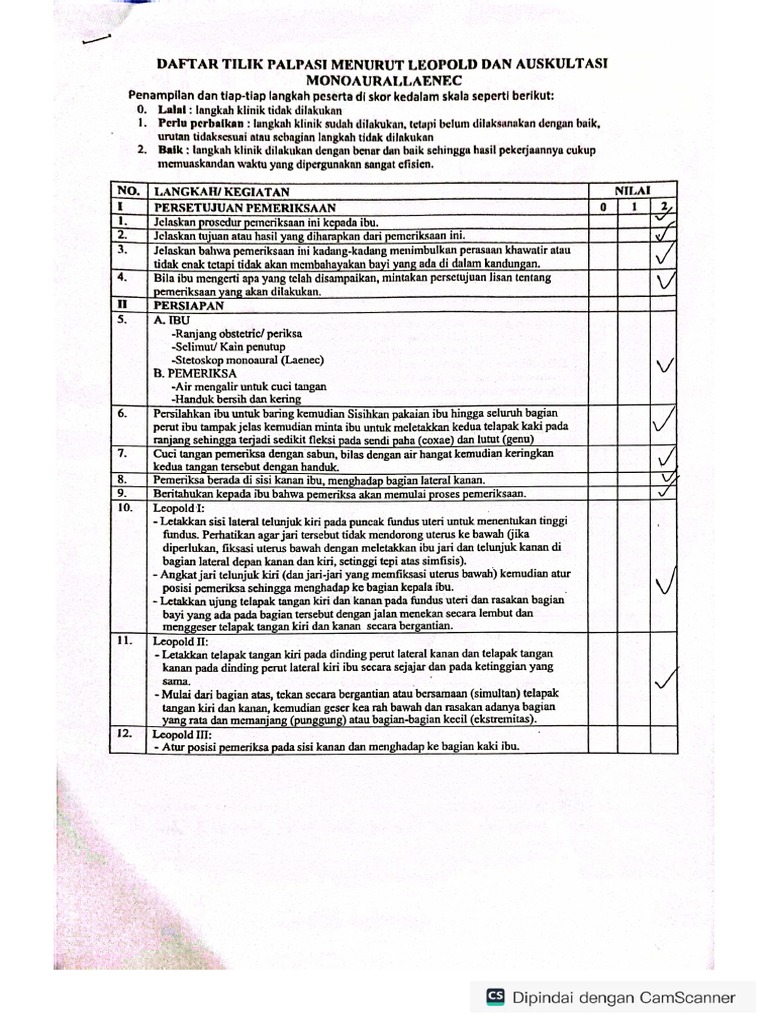 Daftar Tilik Palpasi Menurut Leopold Dan Auskultasi Monoaurallaenec | PDF