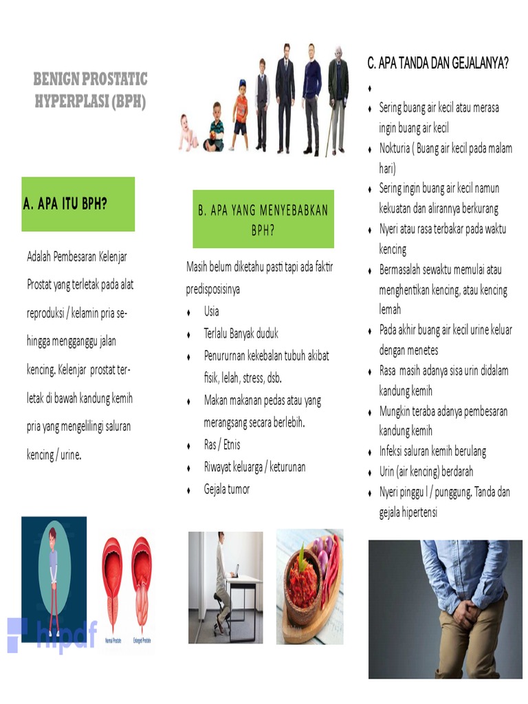 Leaflet BPH | PDF