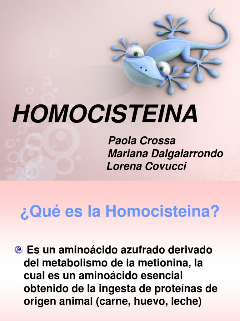 homocisteina | Ácido fólico | Bioquímica