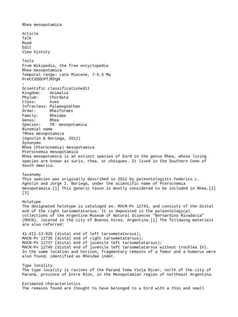 Rhea Mesopotamica | PDF | Taxa