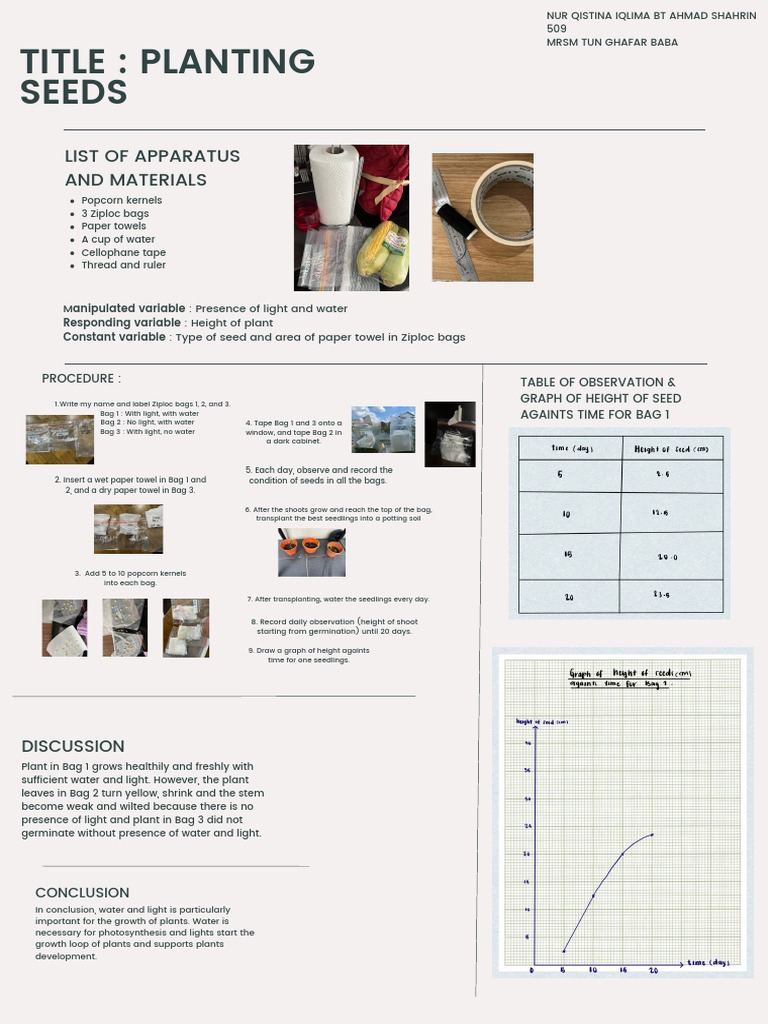 Plant Growth Experiment Guide | PDF | Seed | Seedling