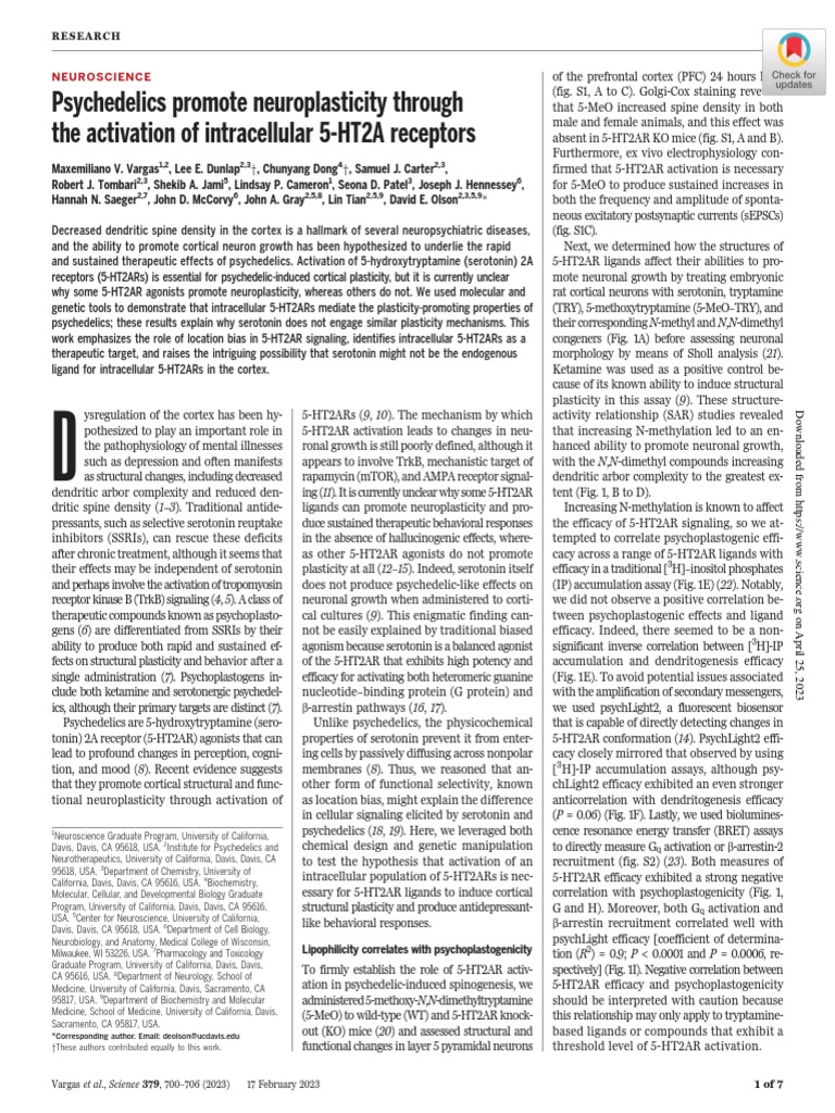 Psychedelics and 5-HT2A Receptor Neuroplasticity | PDF | Serotonin ...