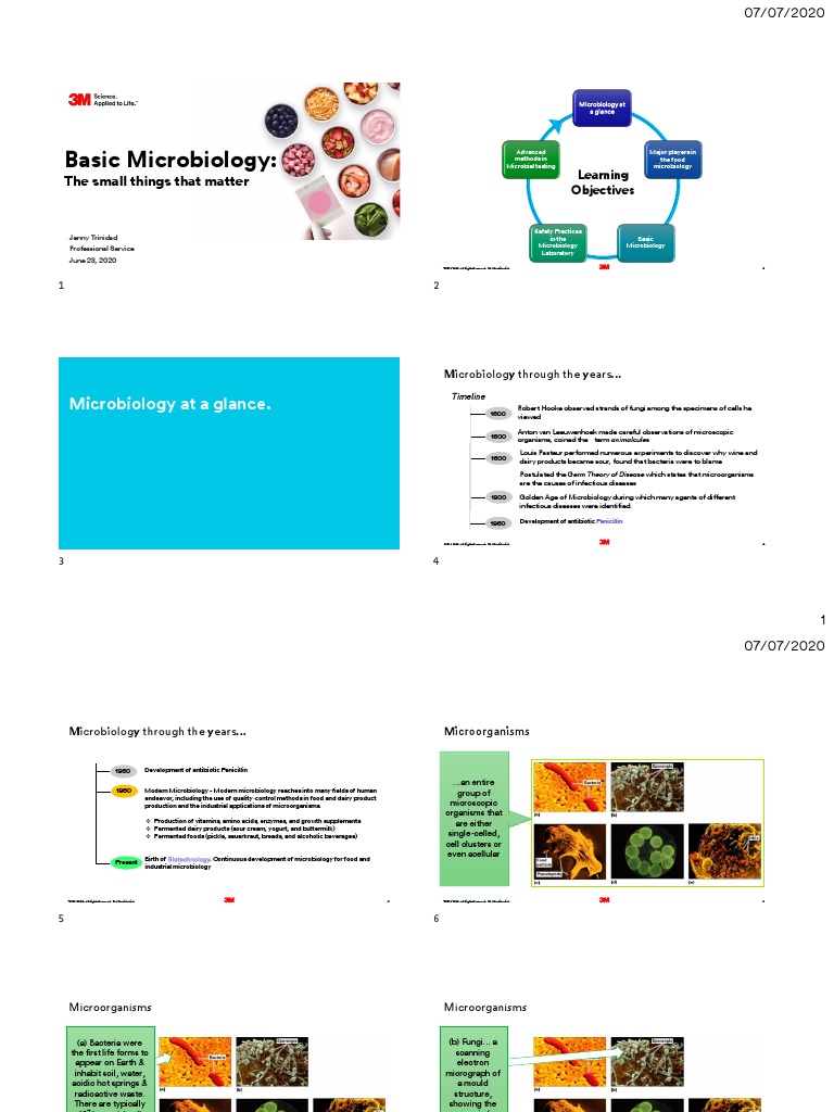 Basic Microbiology Handout | PDF
