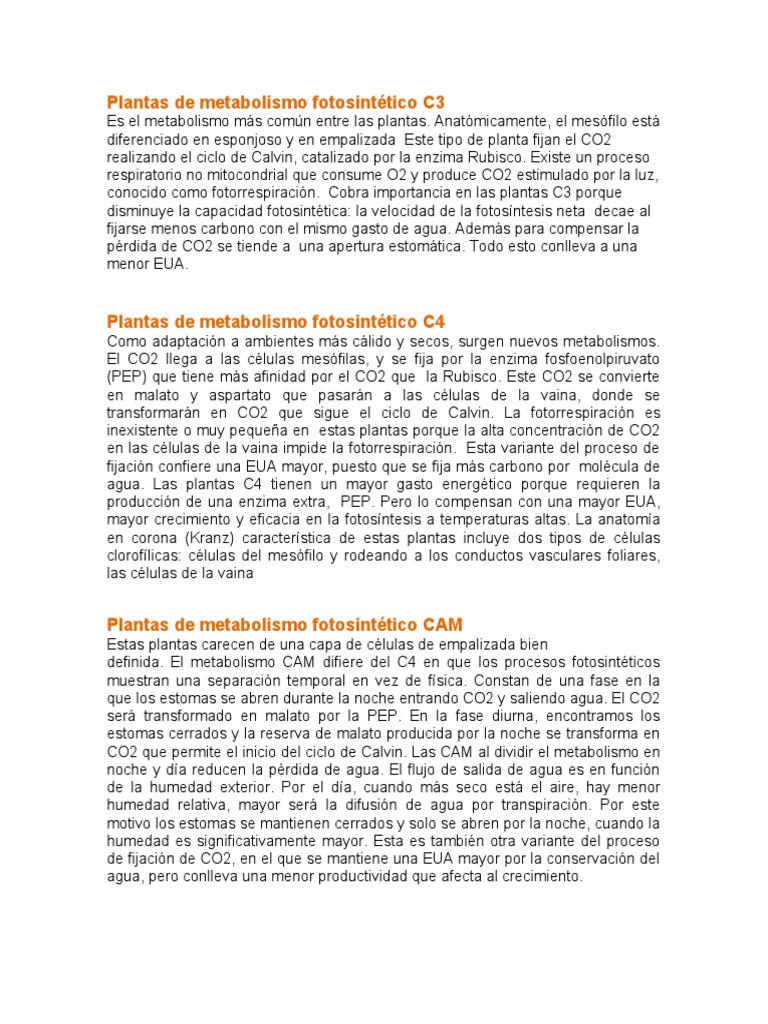 PLANTAS C3 C4 y CAM | PDF