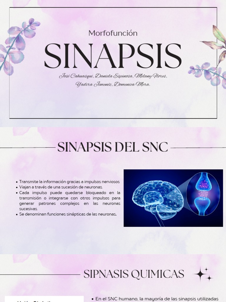 SINAPSIS | PDF | Sinapsis | Neurona