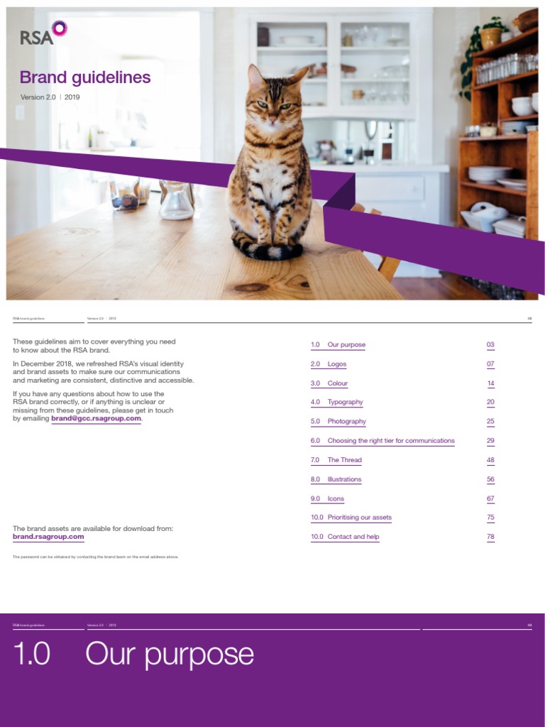 RSA Brand Guidelines 2019 | PDF | Arial | Helvetica