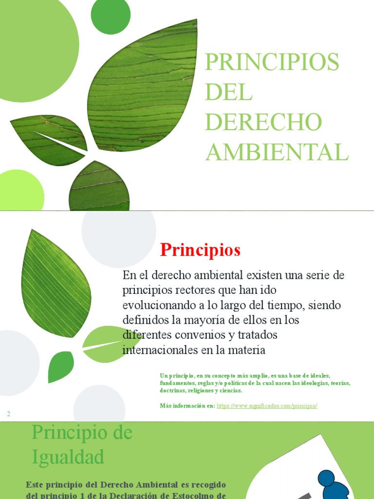 Principios Del Derecho Ambiental | PDF | Entorno natural | Ley del ...