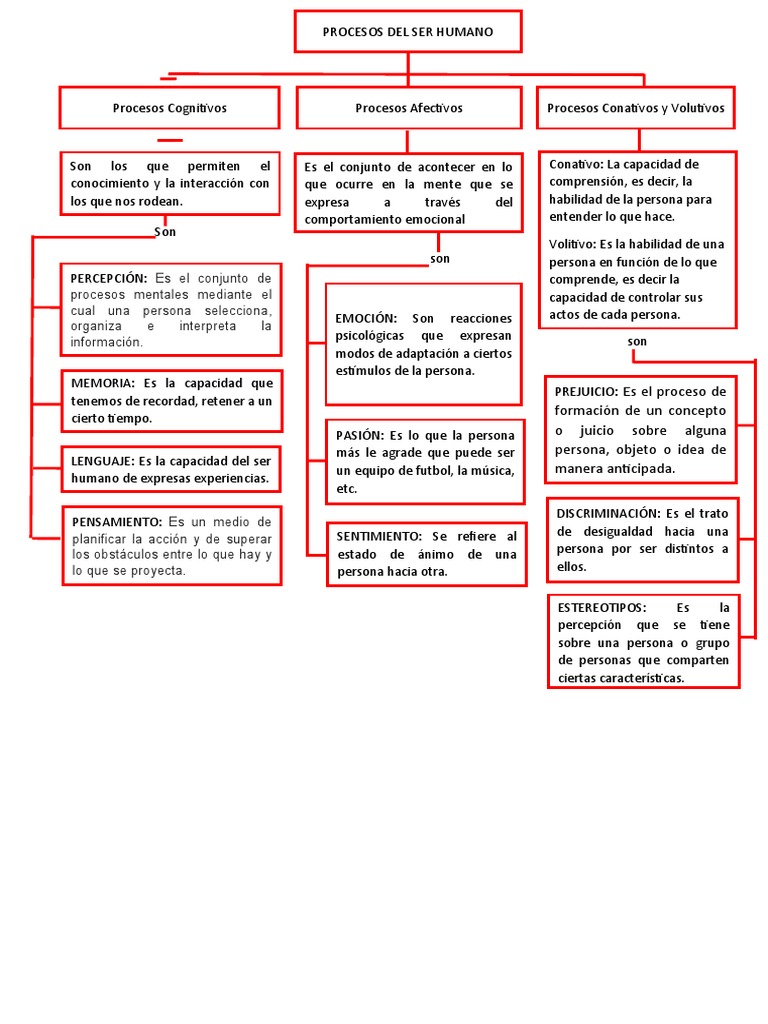 Organizador Visual - Docx 02 | PDF