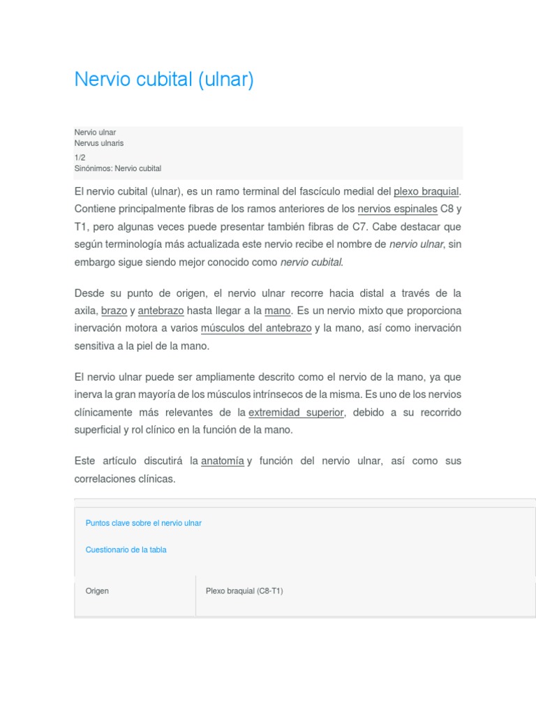 Ulnar Nerv | PDF | Mano | Extremidades (anatomía)