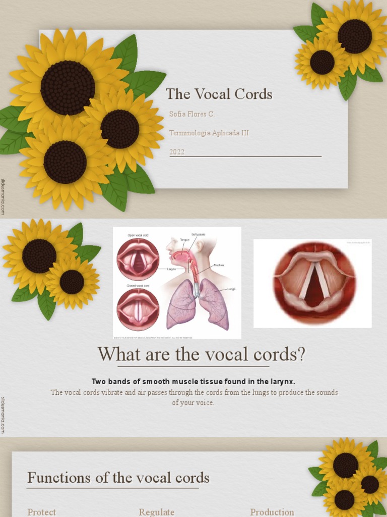 The Vocal Cords | Download Free PDF | Larynx | Human Voice