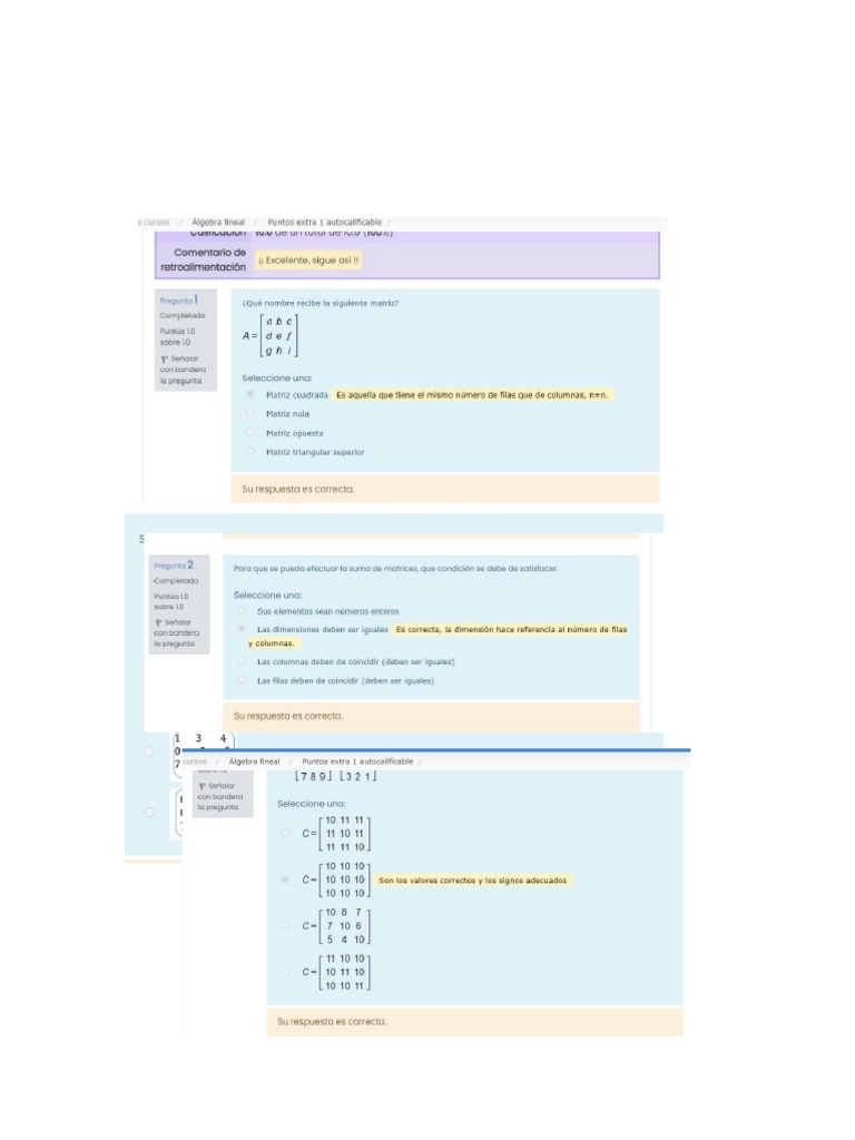 Algebra Lineal Puntos Extra 1 Autocalificable | PDF