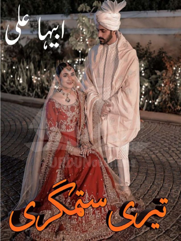 Teri Sitamgari by Abeeha Ali Episode 1 To 25 Free Download in PDF | PDF