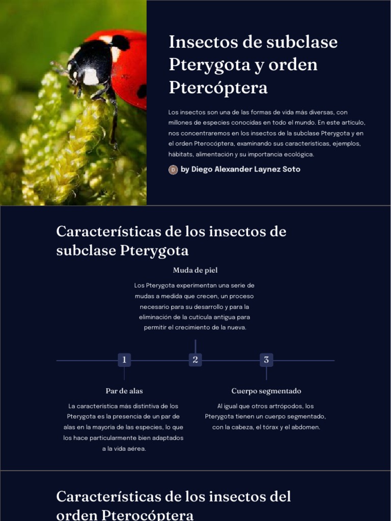 Insectos-de-subclase-Pterygota-y-orden-Ptercoptera | PDF | Insectos | Mosca