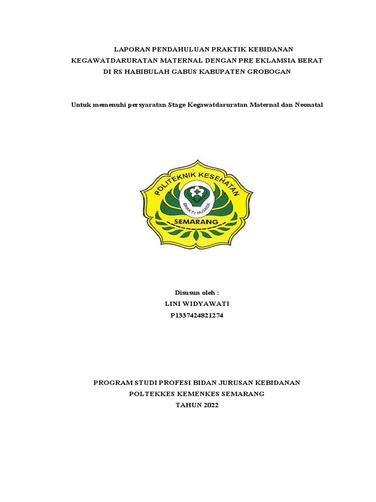 a.1.LP Gadar Maternal | PDF