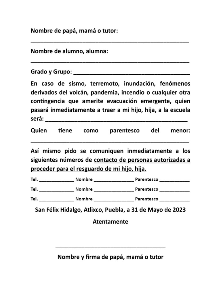 Formato Complemento Volcán | PDF