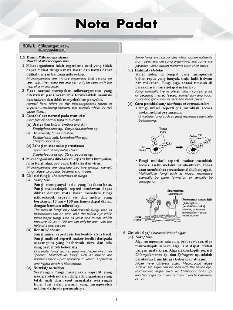Nota Sains Ting 5 | PDF | Bacteria | Protozoa