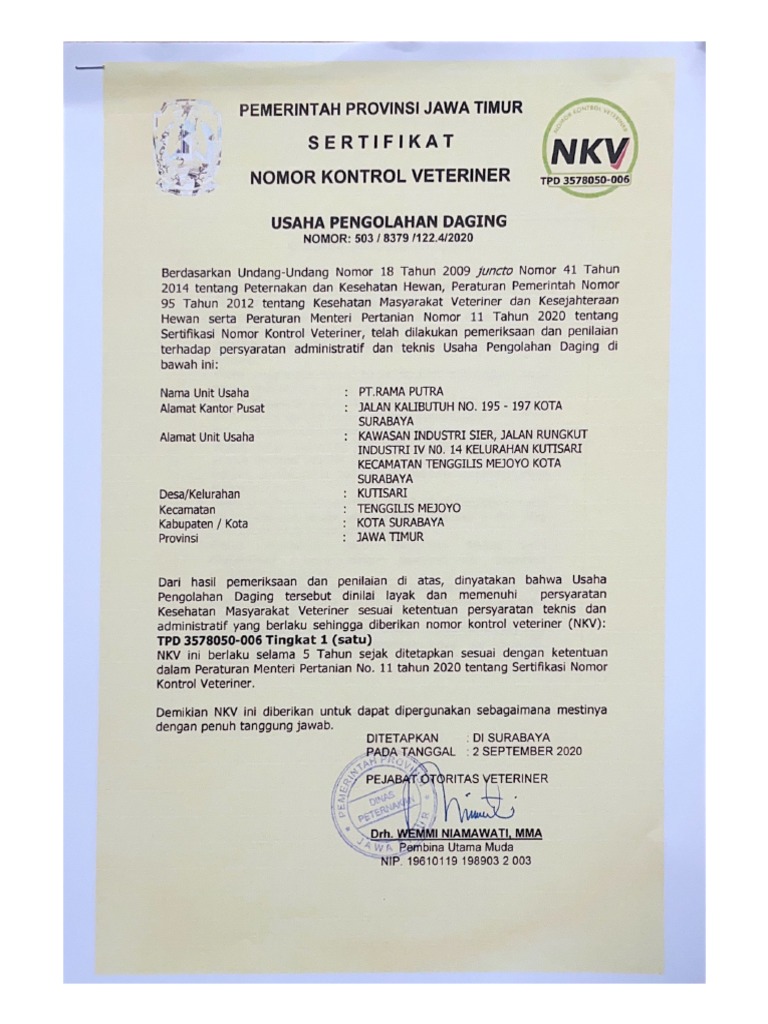 NKV | PDF