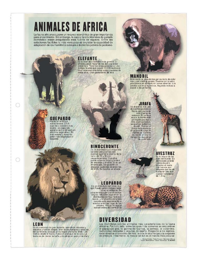 Animales de Africa | PDF