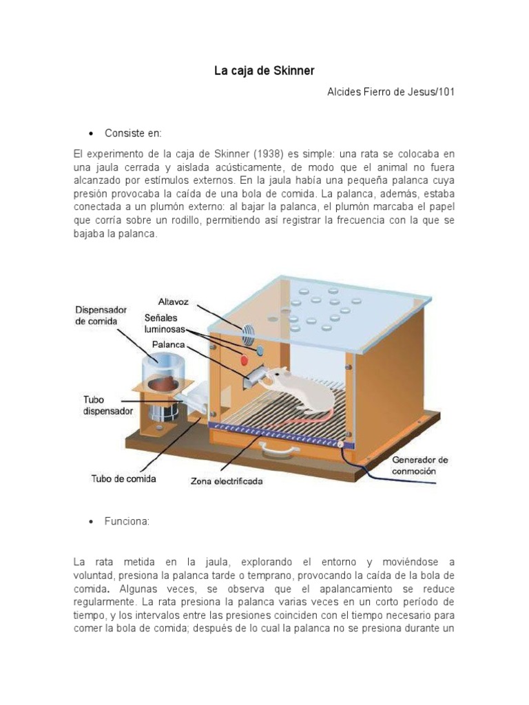 La Caja de Skinner | PDF