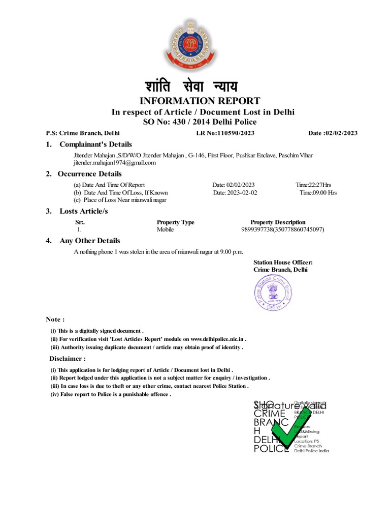 Information Report: in Respect of Article / Document Lost in Delhi | PDF