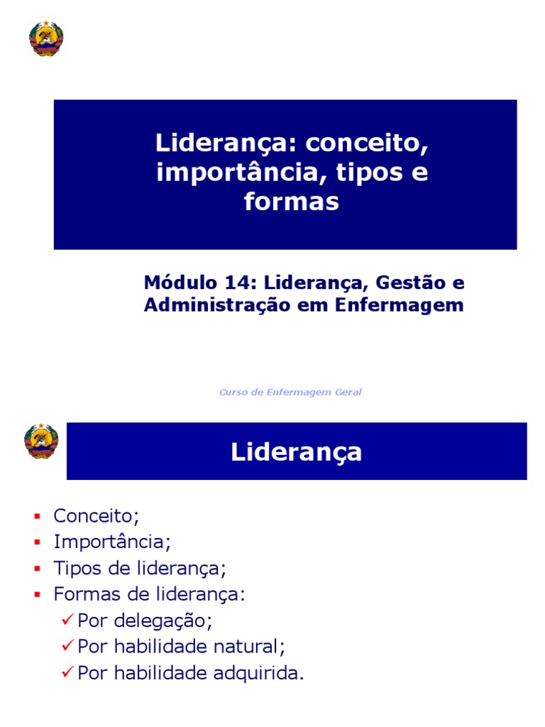Modulo 14 Aula 2 Lideranca Conceito Tipos Formas | PDF