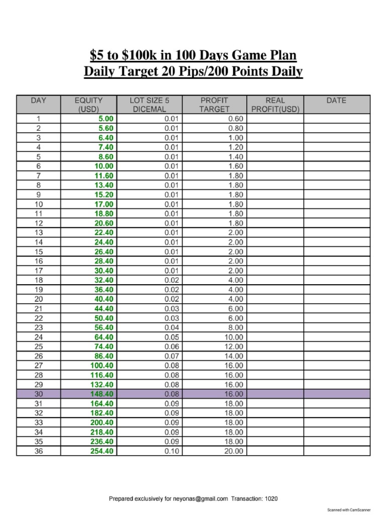 5 Usd Trading Plan | PDF