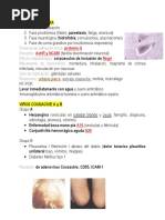 Proteus Ox-19 y Rickettsiosis: Guía Clínica | PDF | Organismos ...