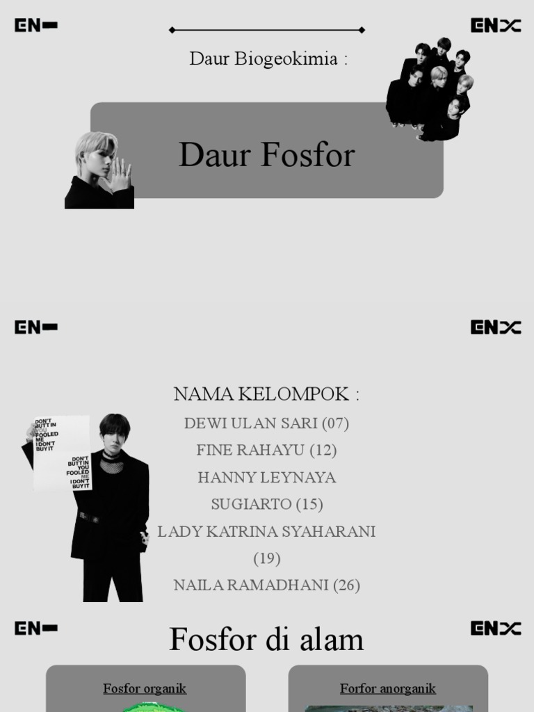Pesentasi Biologi Biogeokimia (Daur Fosfor) | PDF