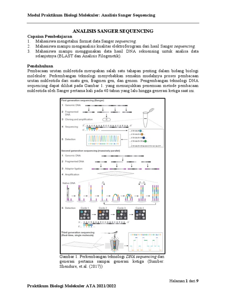 Analisis Elektroferogram Sanger Sequencing | PDF