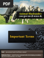 Methods of Milking and Milking Procedure and Practices For Quality Milk ...
