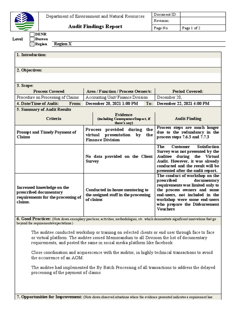 DENR Audit Findings Summary Report | PDF | Audit | Computing