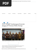 Company Profile PLN | PDF