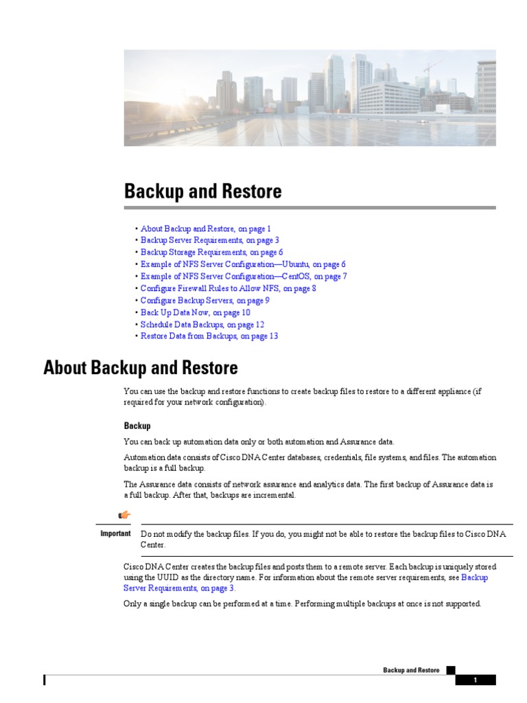 B Cisco Dna Center Admin Guide 2 3 3 Chapter 0110 | PDF | Backup | Computer File