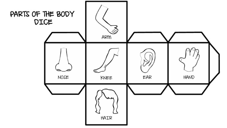 Parts of The Body Dice | PDF