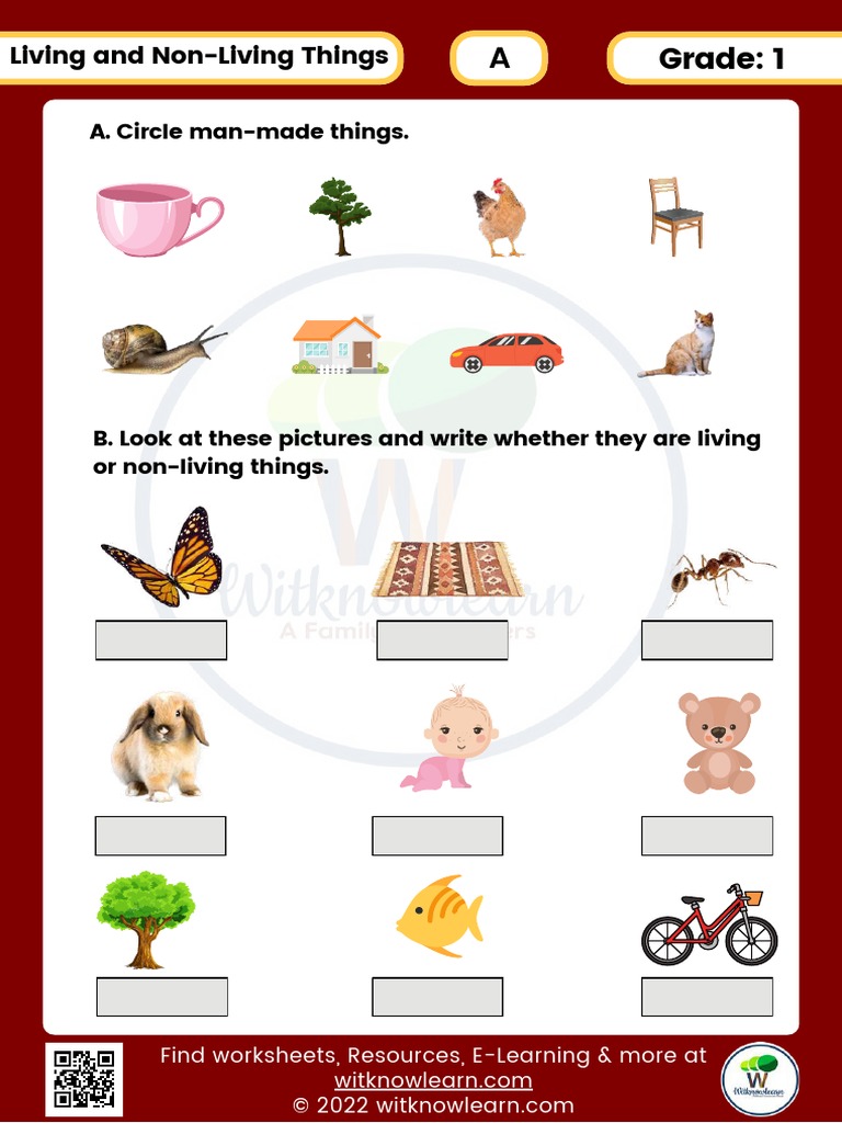Living Things Worksheet Living And Non Living Things Worksheets