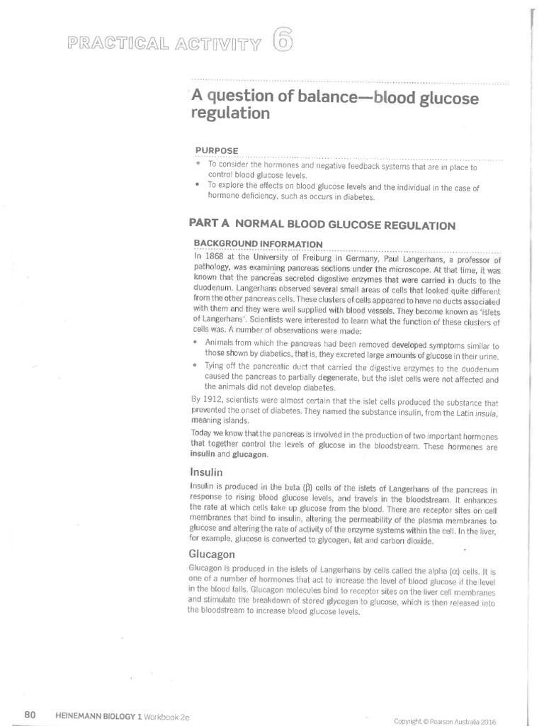 A Question of Balance - Blood Glucose Regulation Worksheet (SAC ...