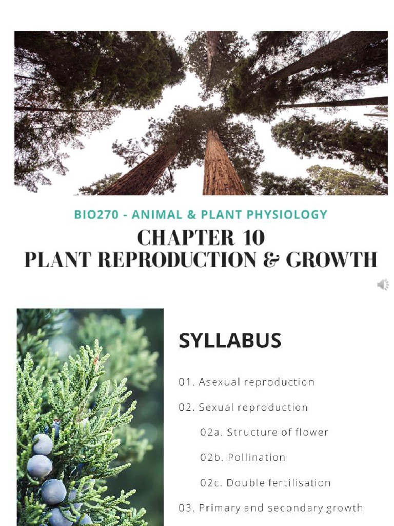 Chapter 10 Part 1 - Plants Asexual Reproduction | PDF | Plant ...
