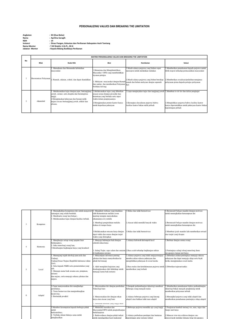 Personalizing Values Breaking Limitations | PDF