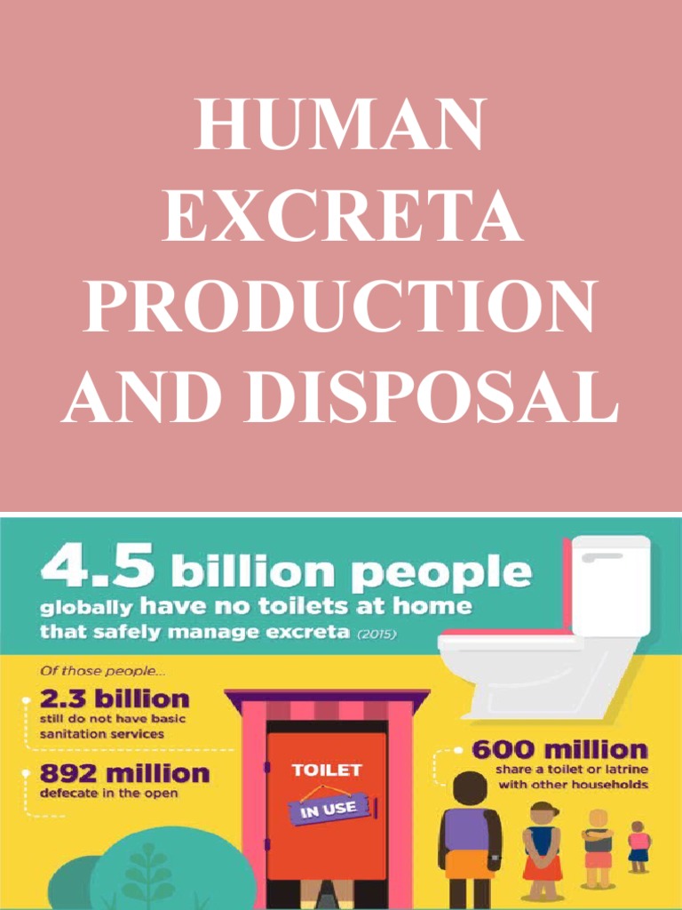 Human Excreta Production and Disposal | PDF