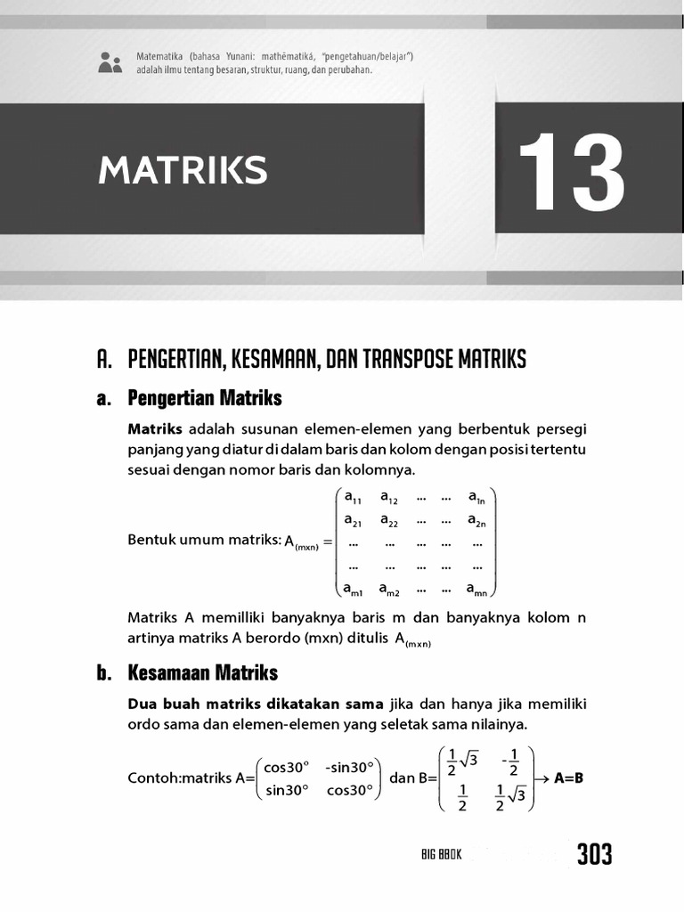 07 Matriks | PDF