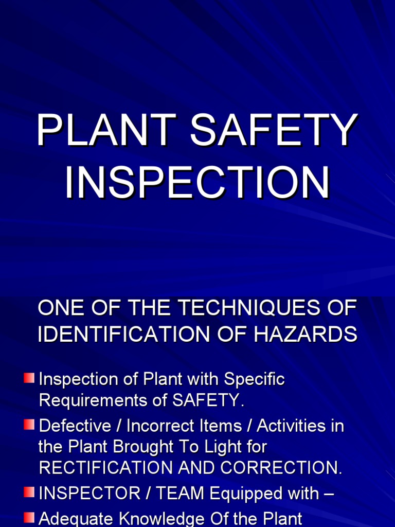 Plant Safety Inspection | PDF