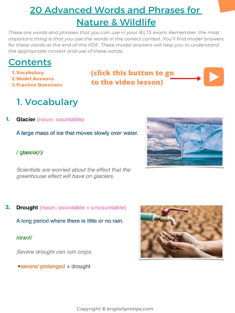 Advanced Vocabulary Nature and Wildlife | PDF